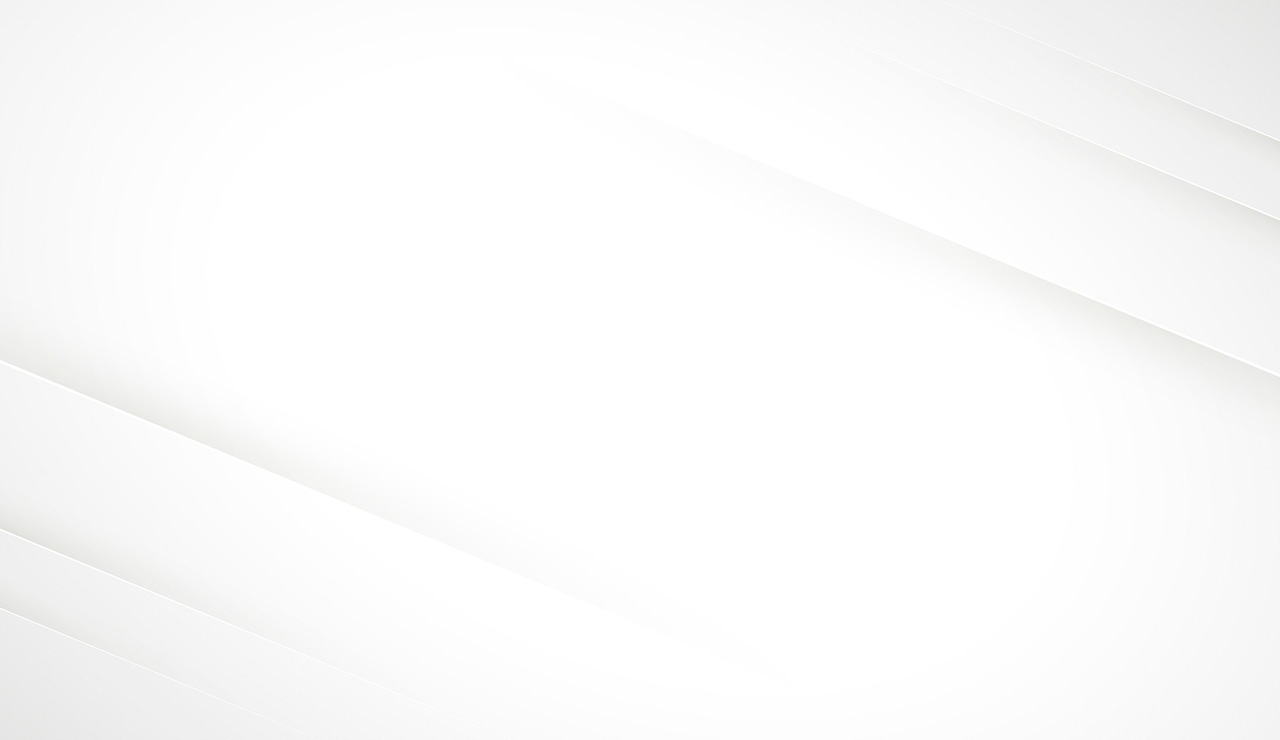 Canamex – Remote Accountant Employment Services